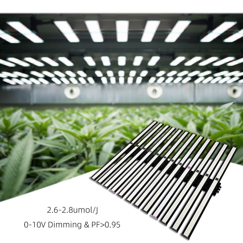 1000W Plant Growth Plug Play Dimmable 1100W Grow Led Light - learnew ...