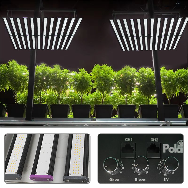 Commercial LED Grow Light dimmable lights full spectrum - learnew-opto.com