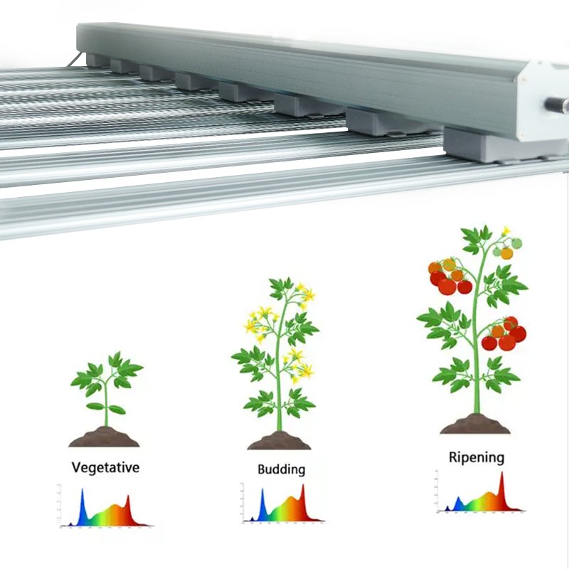 Full Spectrum Grow Lights 640W 720W Indoor Plant Lamp - learnew-opto.com