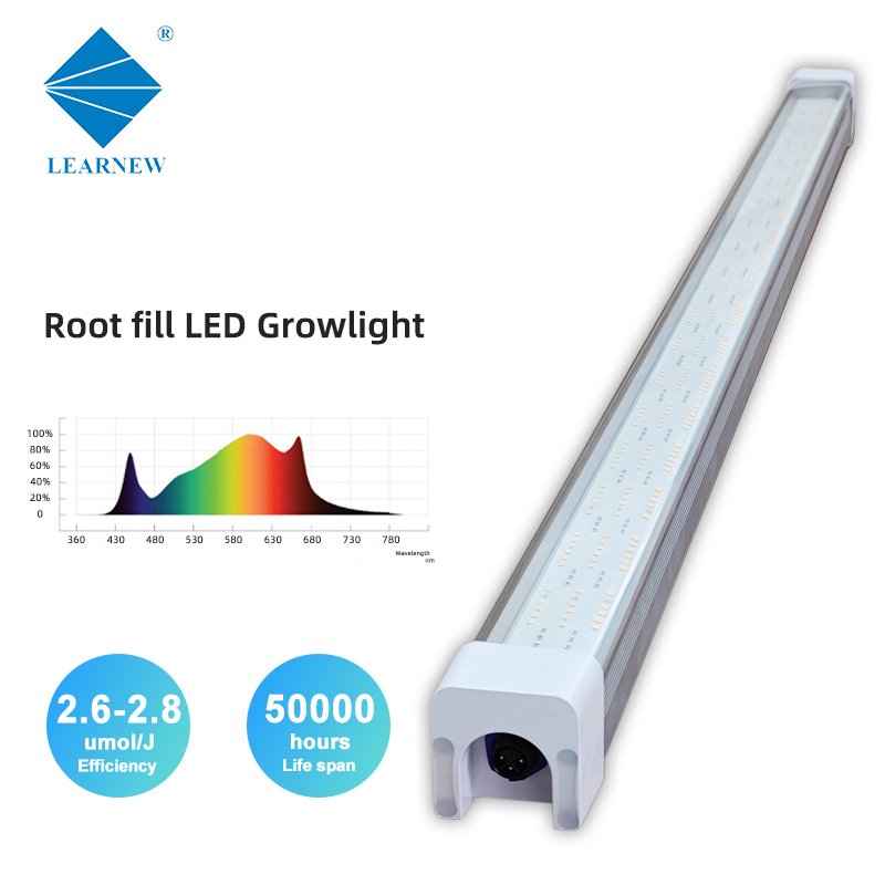grow light tubes LM281B 100w full spectrum for veg and flower - learnew ...